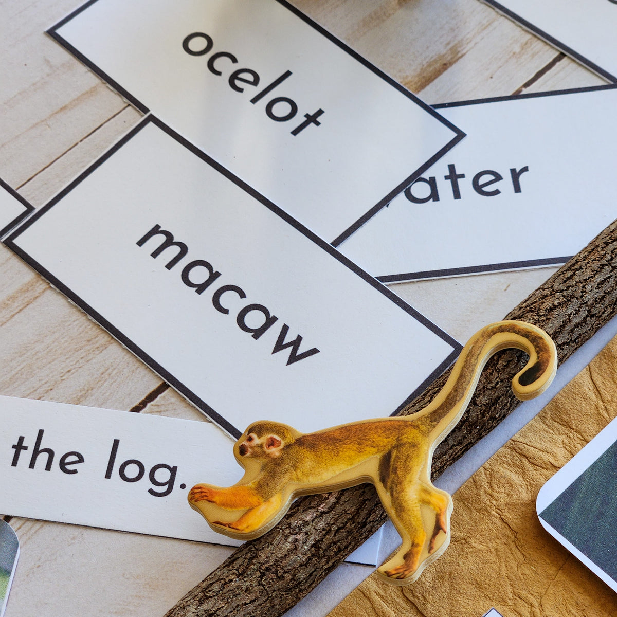 Rainforest Biome Language Work Bundle – Learning with Play