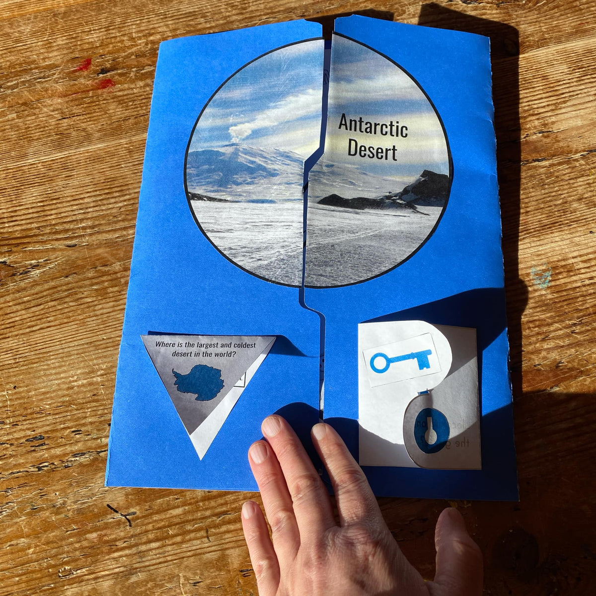Polar Regions Lapbook – Learning with Play