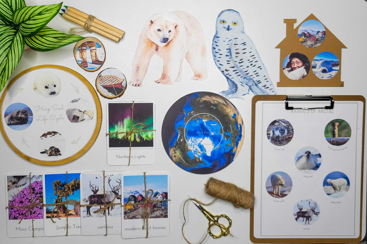 Arctic Circle Study – Learning with Play