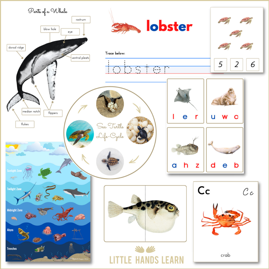 Ocean Activity Bundle – Learning with Play