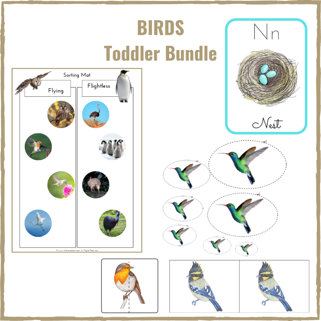 Bird Toddler Bundle – Learning with Play