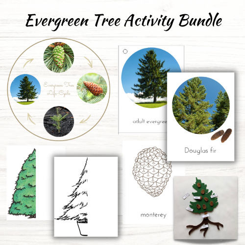 Evergreen Tree Activity Bundle – Learning with Play
