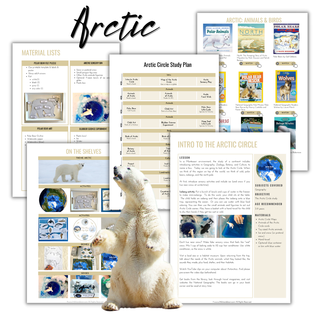 Arctic Circle Study – Learning with Play