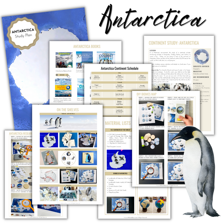 Antarctica Continent Study – Learning with Play
