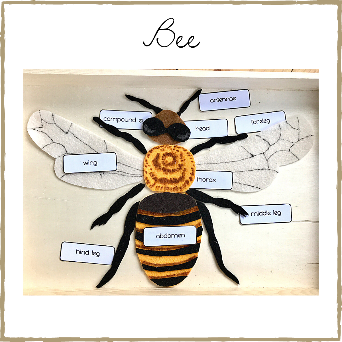 Parts of a Bee Puzzle - Printable Template – Learning with Play