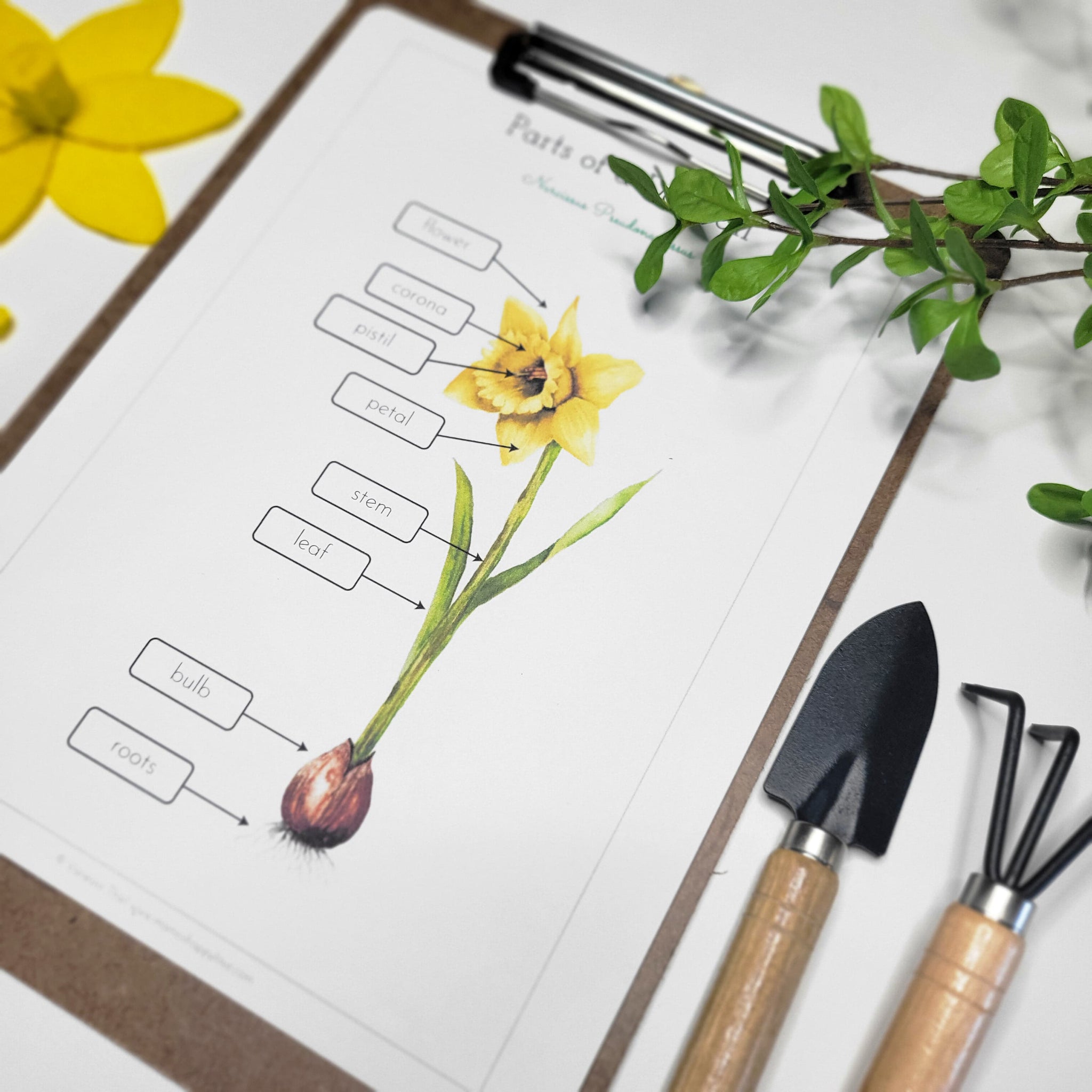 Spring Activity Bundle – Learning with Play