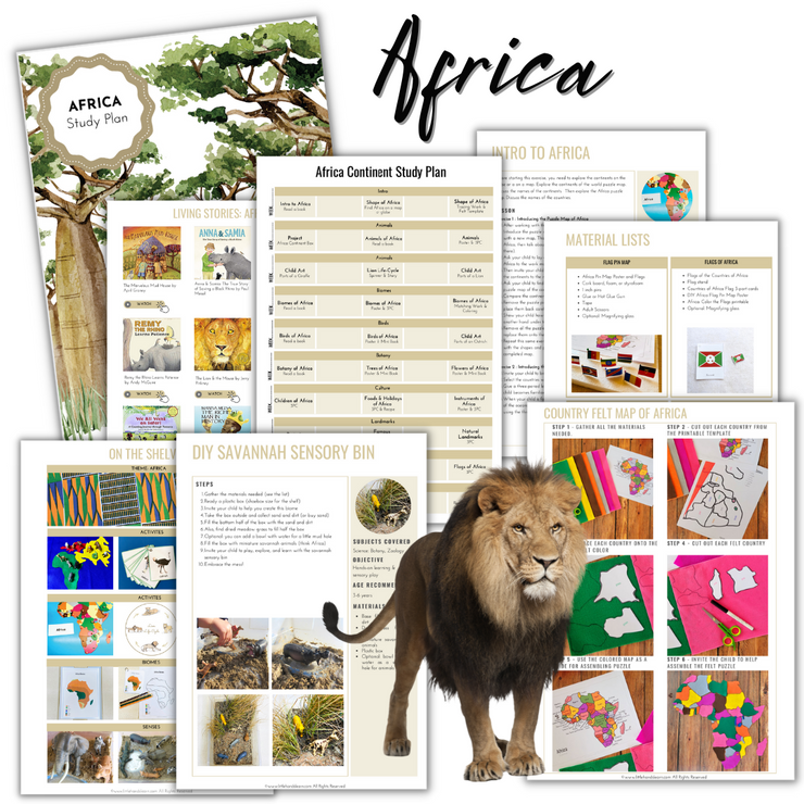 Africa Continent Study – Learning with Play