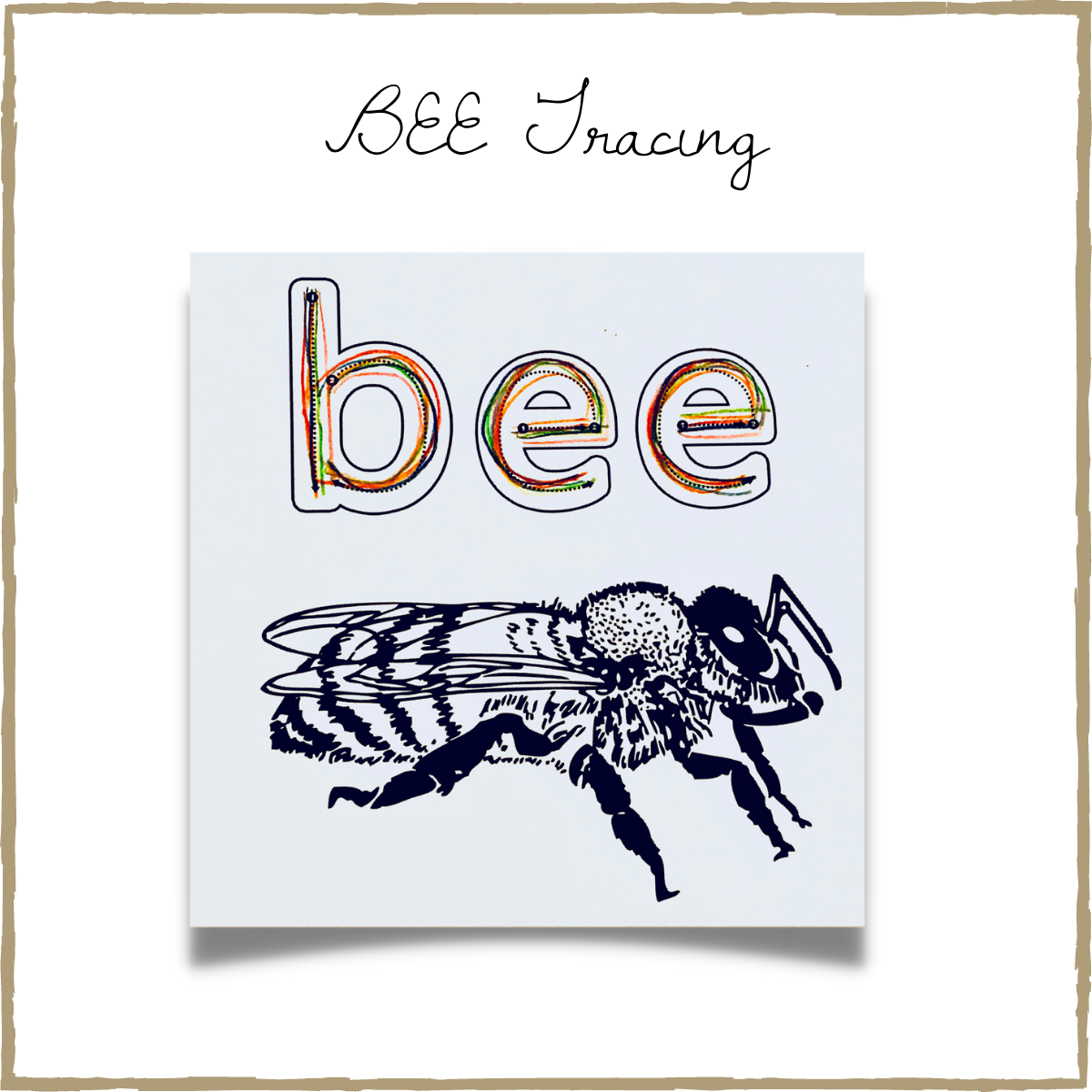 Honey Bee Pre-Writing Worksheets – Learning with Play