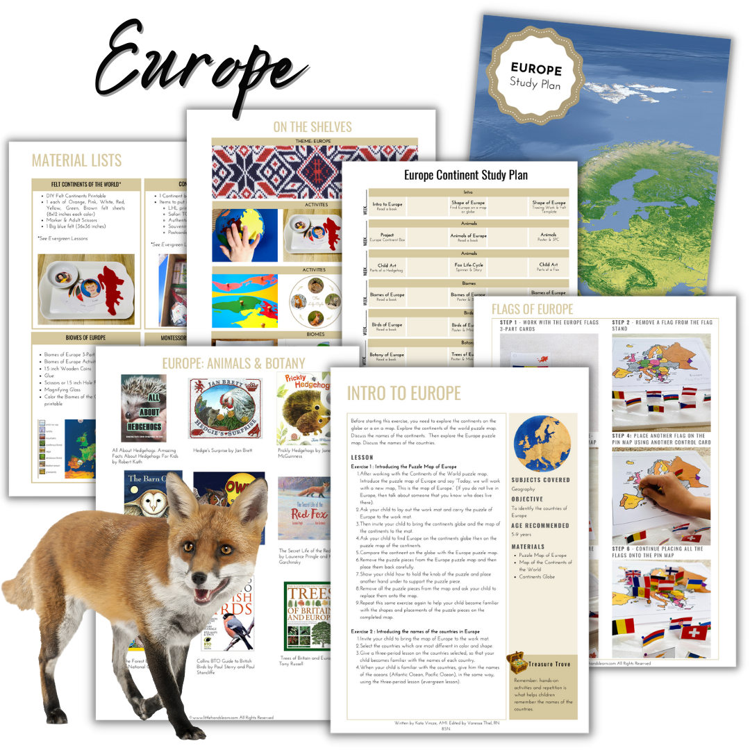 Europe Continent Study – Learning with Play