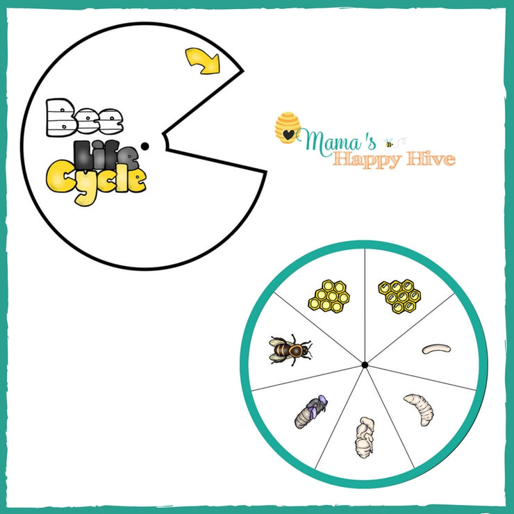 Honey Bee Life-Cycle Spinners – Learning with Play