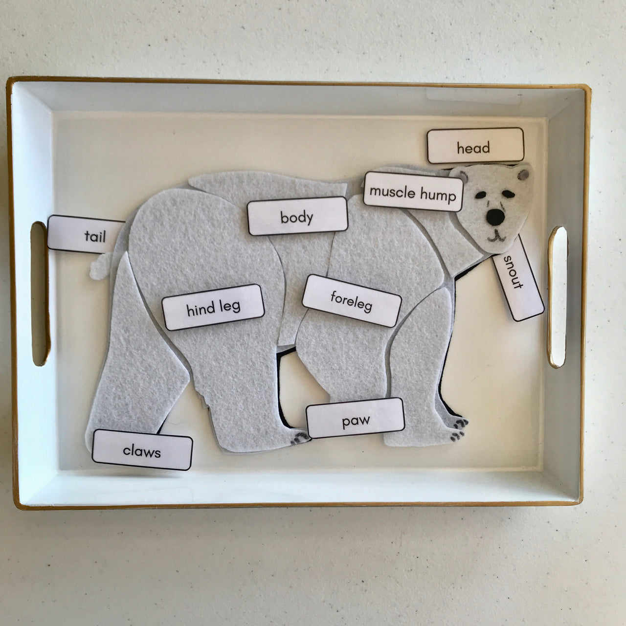 Parts of a Polar Bear Puzzle - Printable Template – Learning with Play