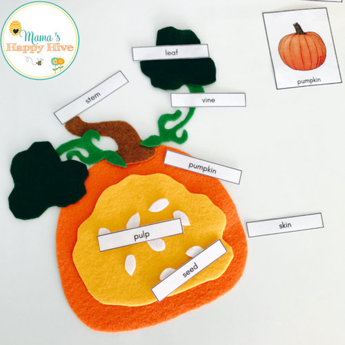 Parts of a Pumpkin Puzzle - Printable Template – Learning with Play