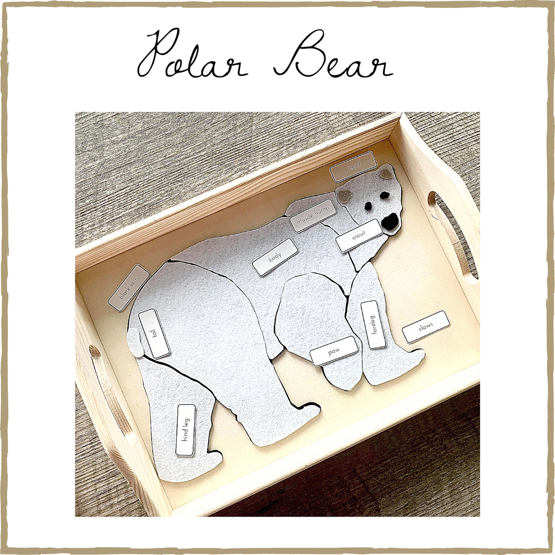 Parts of a Polar Bear Puzzle - Printable Template – Learning with Play